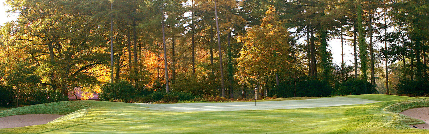 16 :: Remedy Oak Golf Course