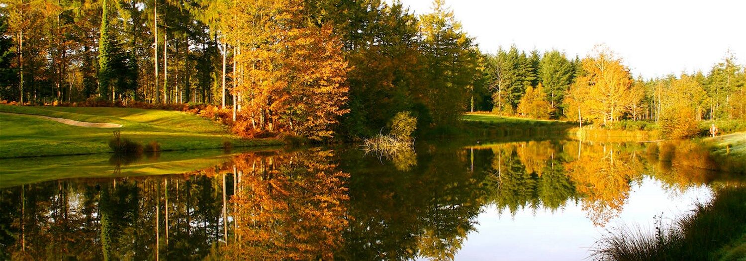 Ranking and Reviews :: Remedy Oak Golf Course